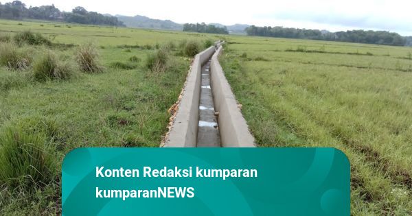 Kementan Dukung Pertanian di Kendari dengan RJIT | kumparan.com Kementan Dukung Pertanian di Kendari dengan RJIT | kumparan.com